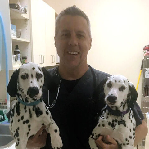 Veterinarian In Fort Collins, CO | Paws Of The Rockies